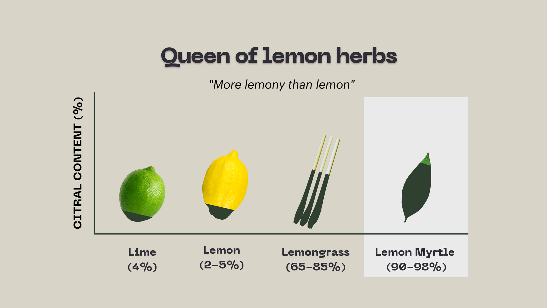 Five ways to enjoy the flavours of lemon myrtle