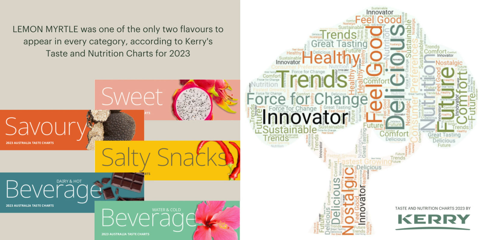 Lemon Myrtle through time